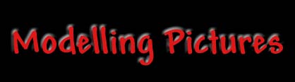 Modelling Pictures